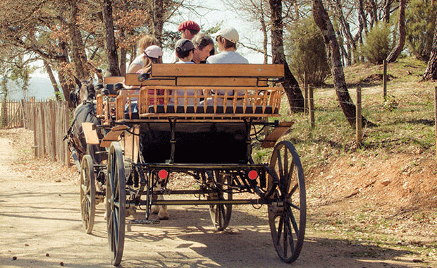 caleche - Blog Culinaire - Edouard Loubet